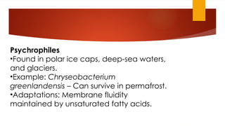 Presentation1.pptx.......................... | PPT