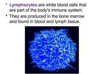 Lymphocytes-It is a Type of leukocytes(WBC) | PPTX
