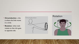 Presentation of joints in exercise therapy | PPTX