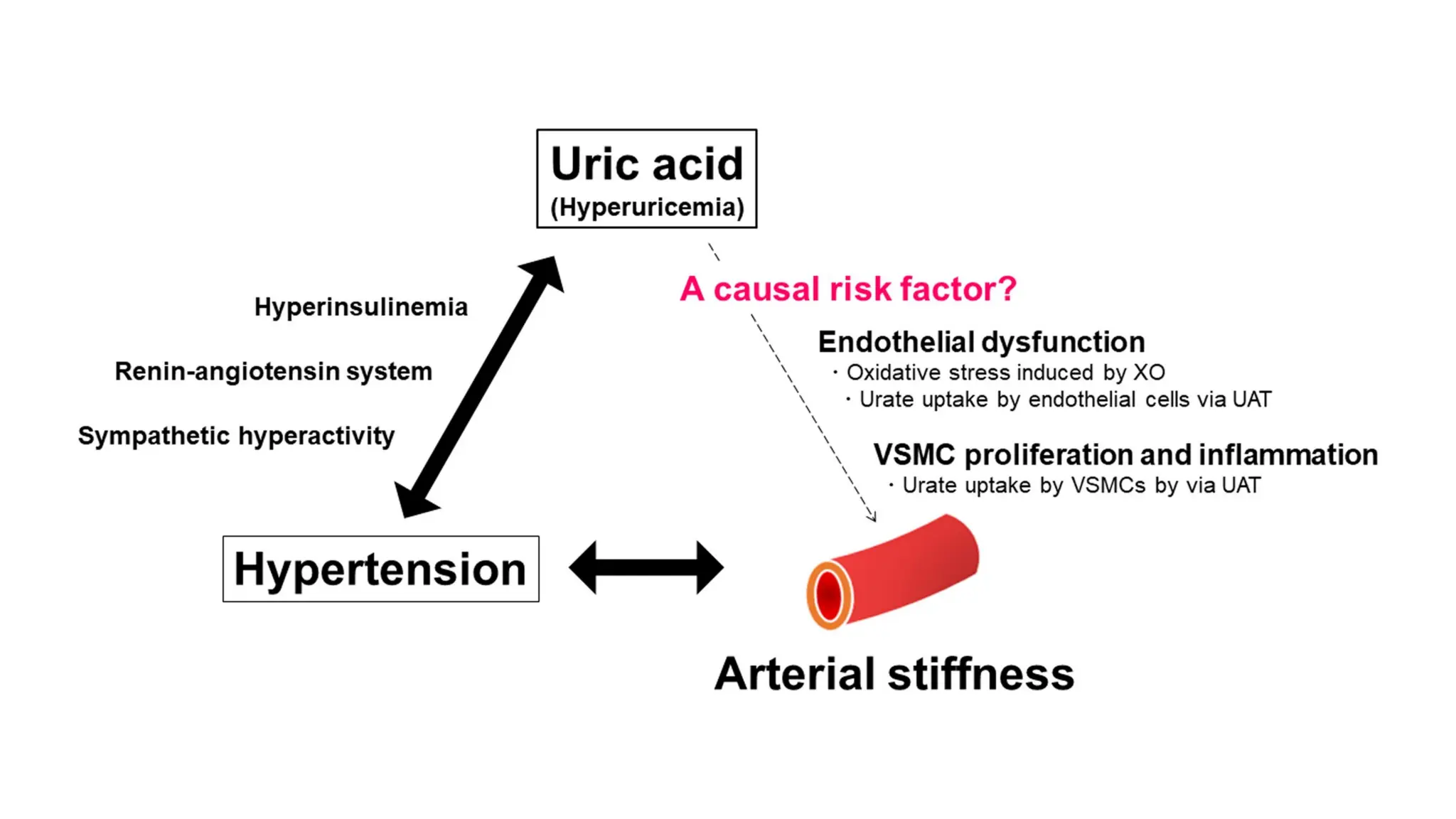 Investigation for diagnosis of systemic hypertension | PPTX