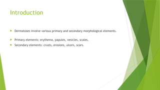 Chronic dermatitis hoPresentation 1.pptx
