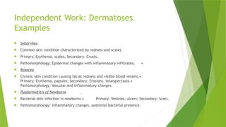 Chronic dermatitis hoPresentation 1.pptx