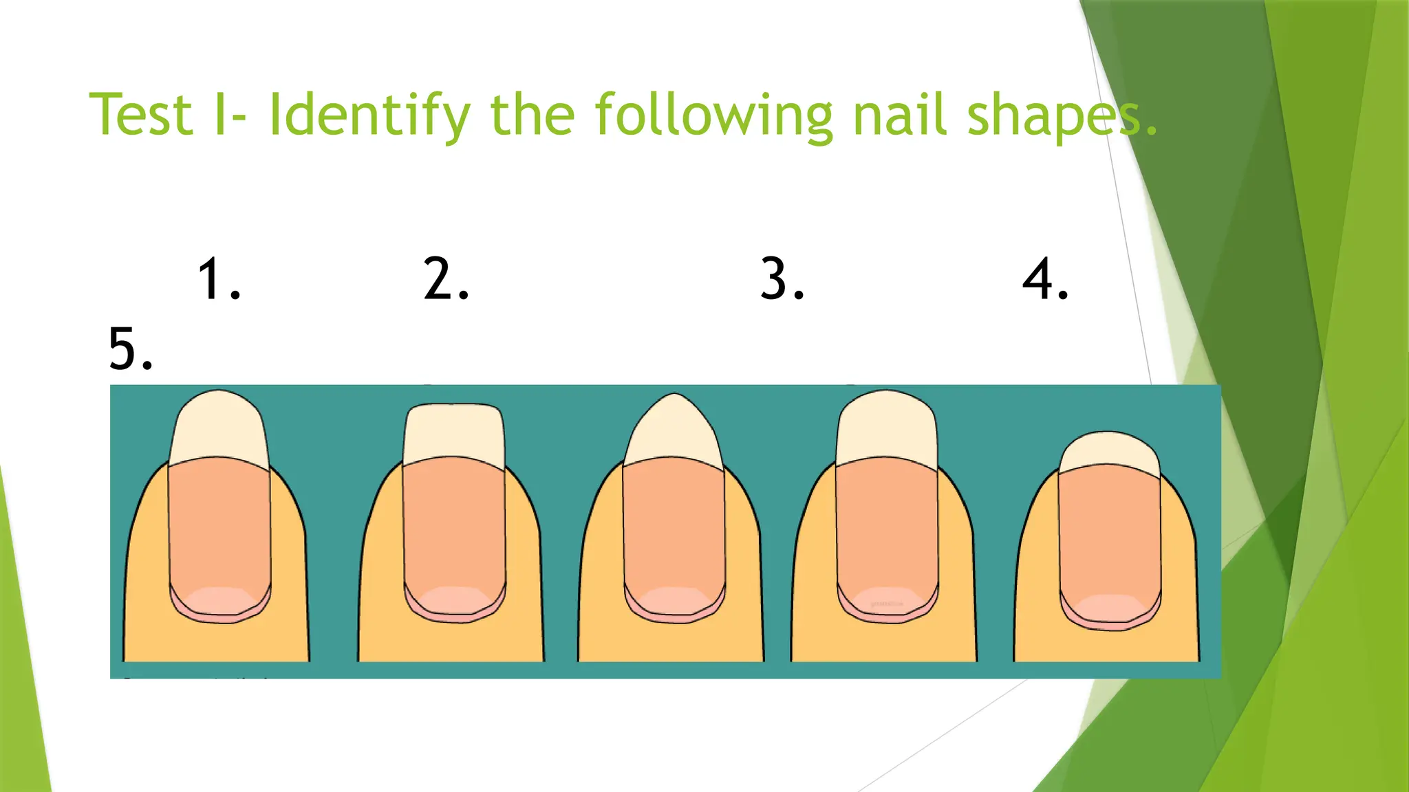 basic nail shapes powerpoint presentation | PPTX