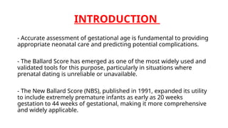 Presentation 1.pptx New Ballard Score extended | PPTX