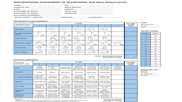 Presentation 1.pptx New Ballard Score extended | PPTX