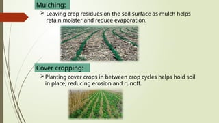 Presentation1.pptx crop residue management | PPTX