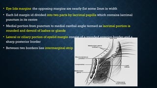 Anatomy of eyelids basic anatomy covered along with abnormalities of ...