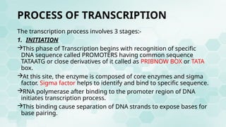 TRANSCRIPTION IN PROKARYOTES AND EUKARYOTES | PPTX