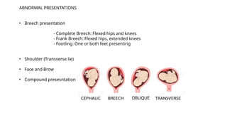 Presentation1.pptx normal and abnormal positions | PPTX