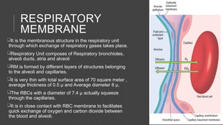 Physiology of respiratory mechnanics.pptx