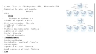 congenital disorders ,Anorectal malformation | PDF