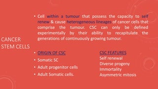 correlation between stem cells and cancer cells | PPTX