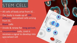 correlation between stem cells and cancer cells | PPTX