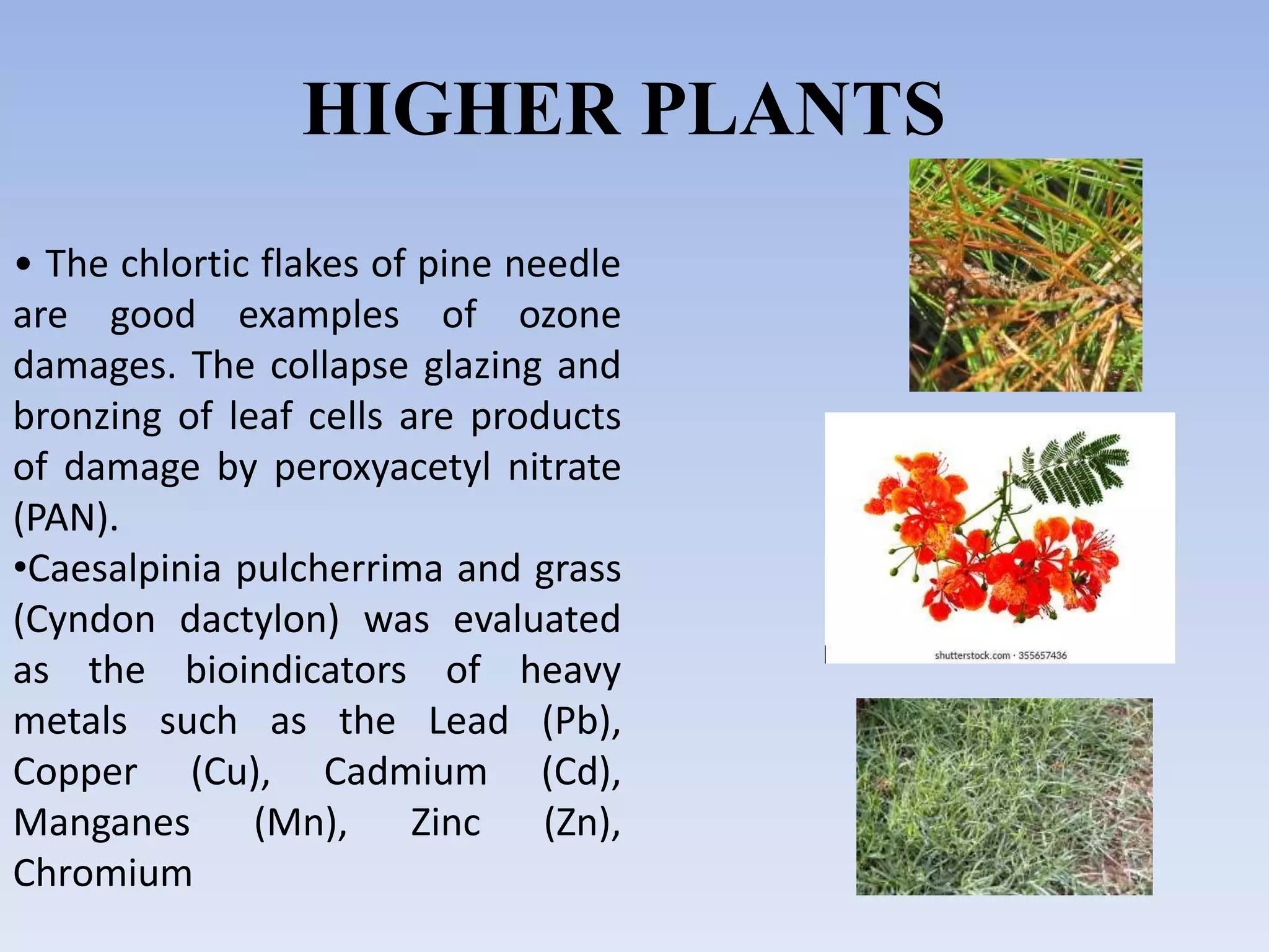 Presentation1-4.pptx