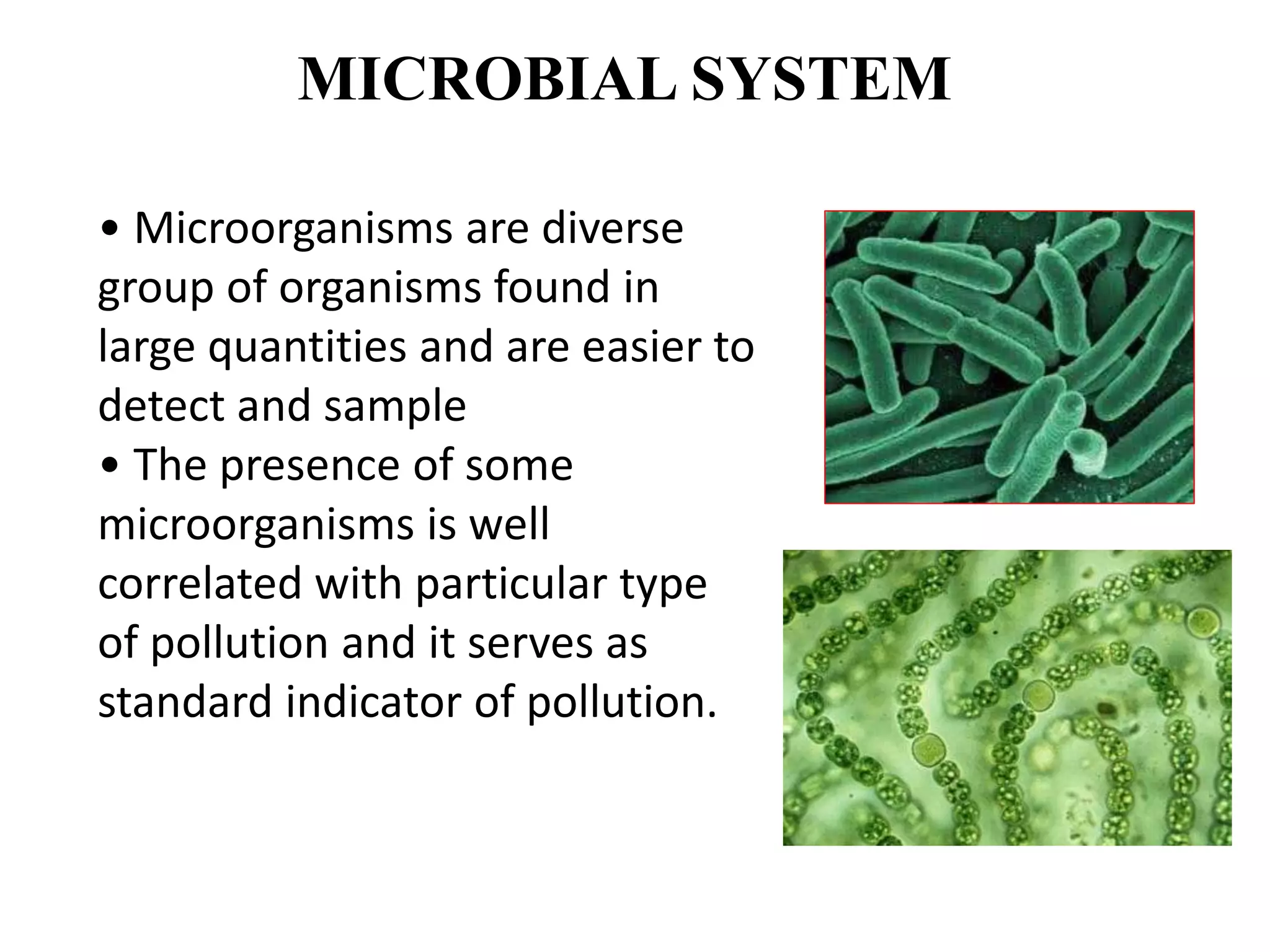 Presentation1-4.pptx