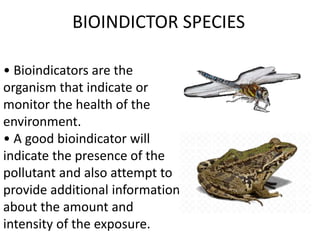 Presentation1-4.pptx