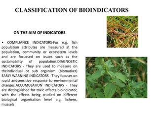 Presentation1-4.pptx