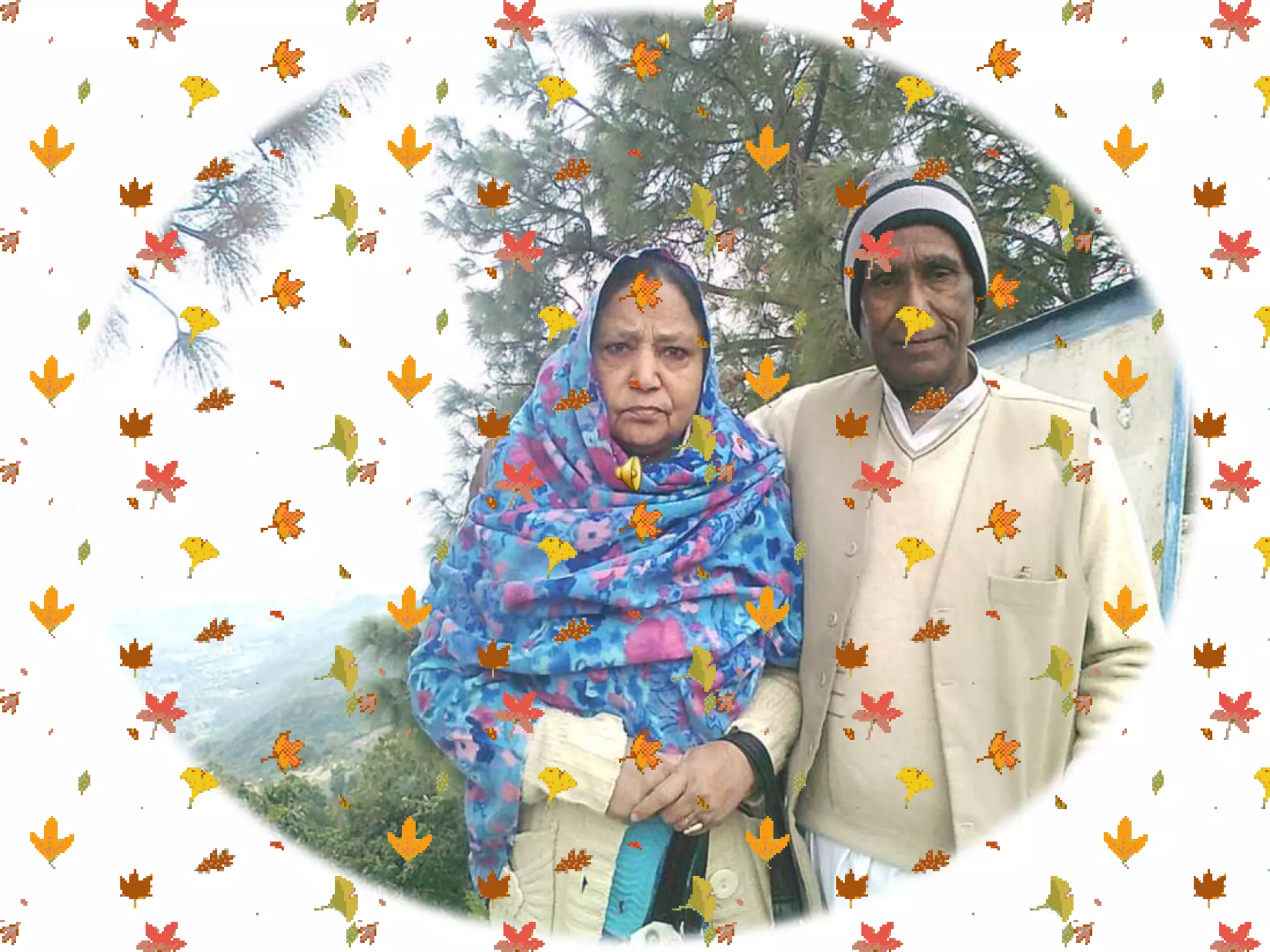 Presentation1..animated pic | PPSX