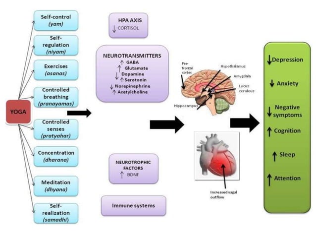 Presentation1 asanas | PPT