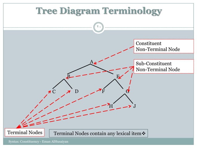 Constituency, Trees and Rules | PDF | Programming Languages | Computing