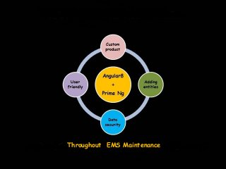 "EMS Solutions using Angular and Prime Ng Technologies." https://github ...