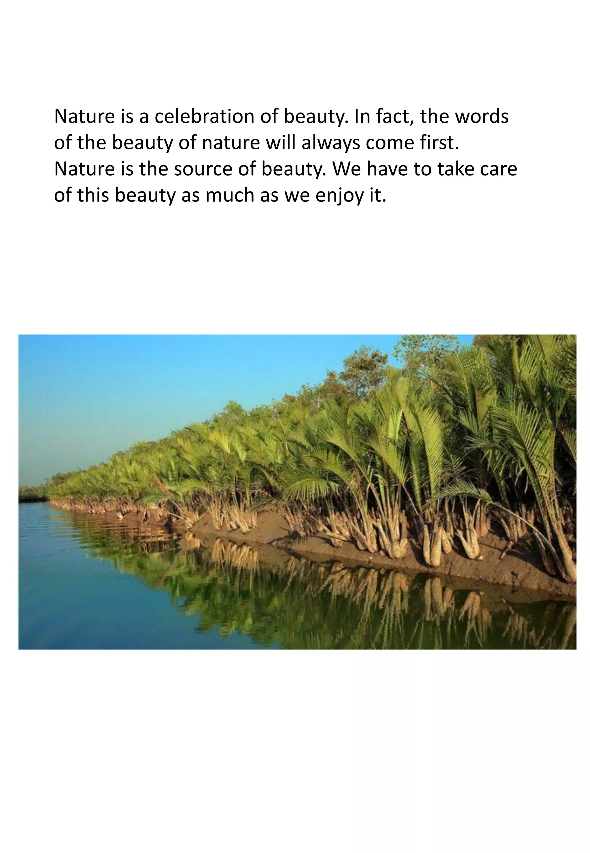 Nature view | PDF