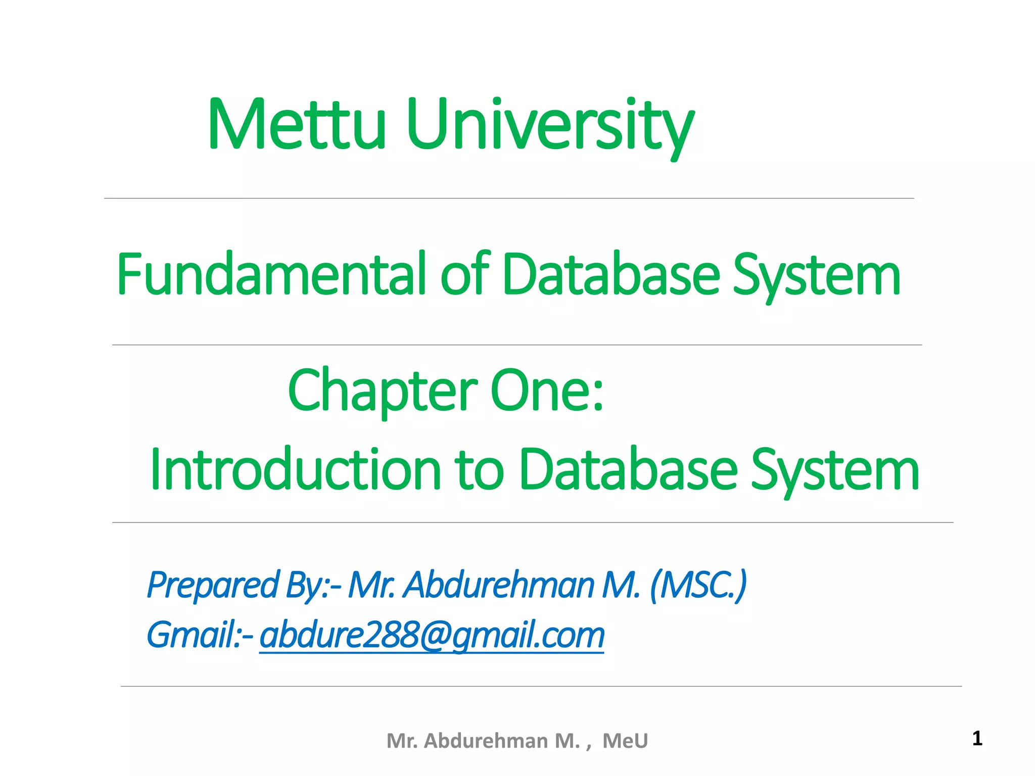 Chapter 01 Fundamental of Database Management System (DBMS) | PDF