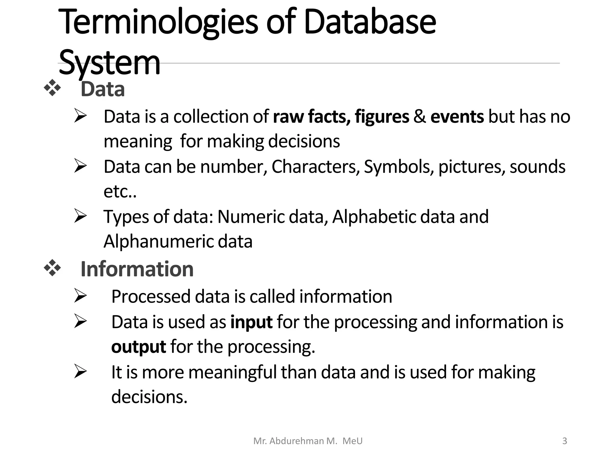 Chapter 01 Fundamental of Database Management System (DBMS) | PDF