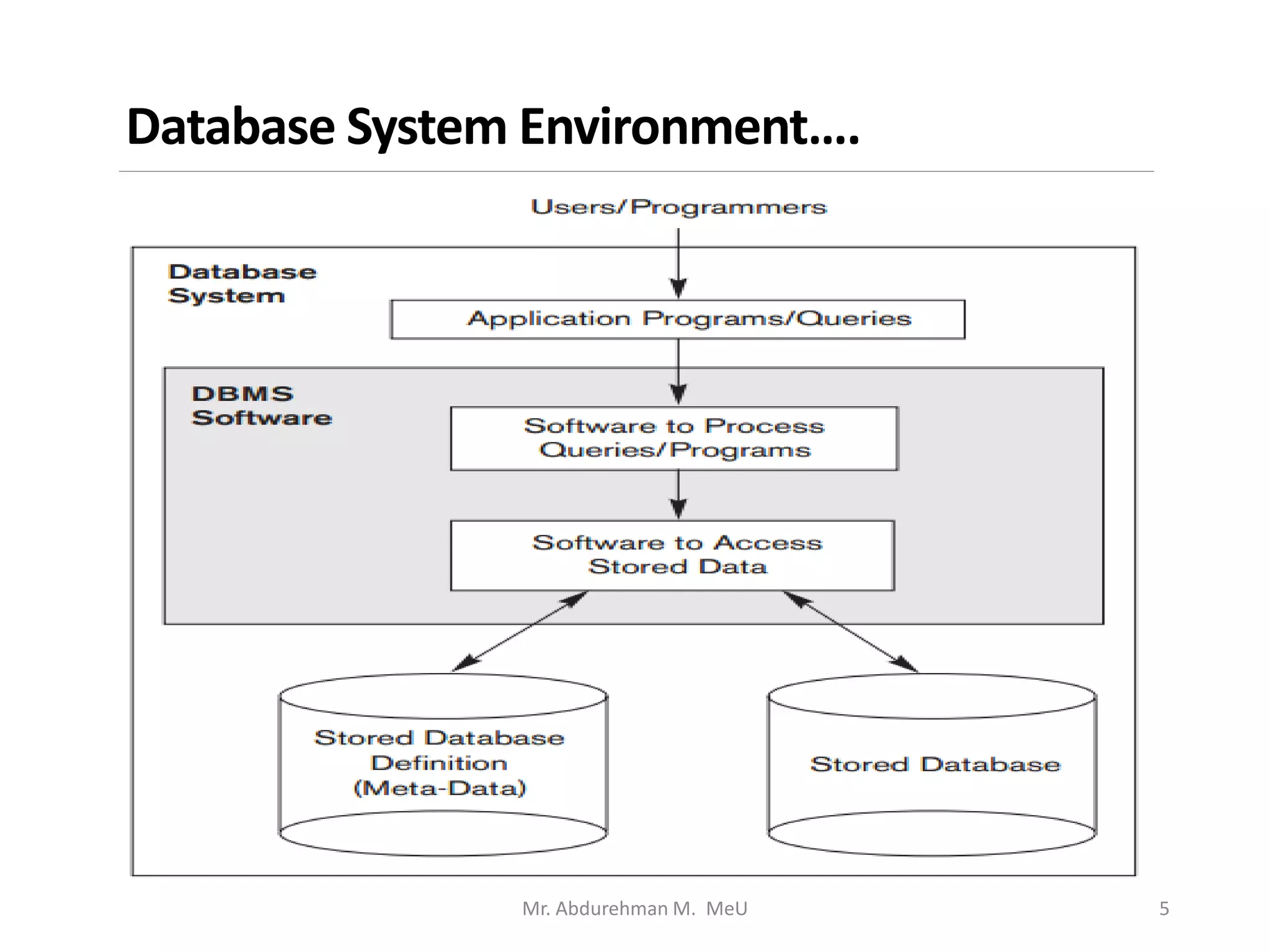 Chapter 01 Fundamental of Database Management System (DBMS) | PDF