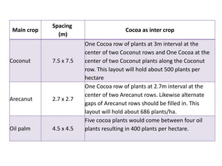 cocoa seed production technology | PPTX