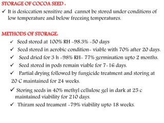 cocoa seed production technology | PPTX | Agriculture | Industries