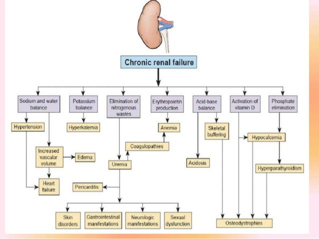 DRUGS AND TOXINS ASSOCIATED WITH KIDNEY