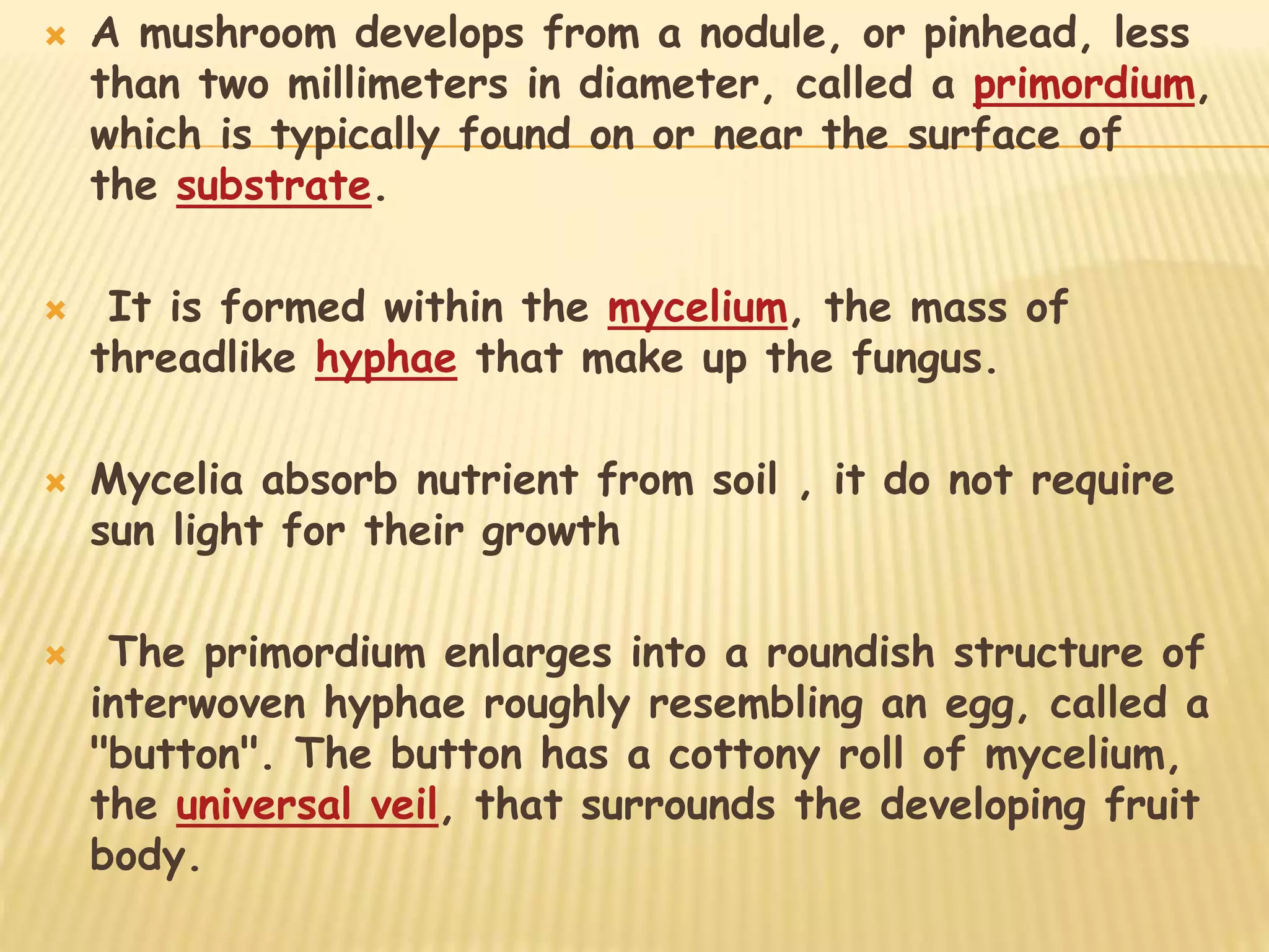 MUSHROOM CULTIVATION | PPTX