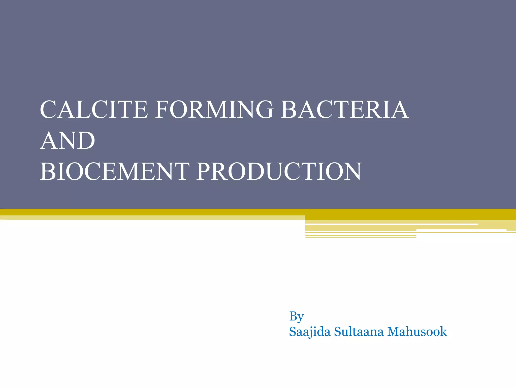 Calcite forming bacteria and production of biocement | PPTX
