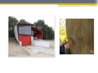 Calcite forming bacteria and production of biocement | PPTX