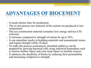 Calcite forming bacteria and production of biocement | PPTX
