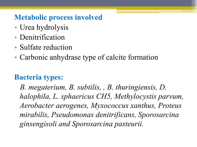 Calcite forming bacteria and production of biocement | PPTX