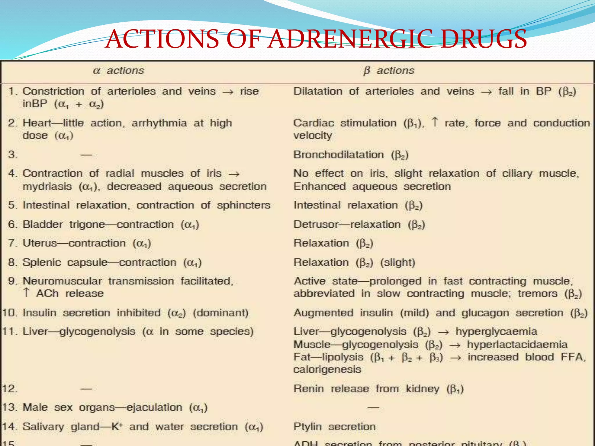 Adrenergic Drugs | PPTX