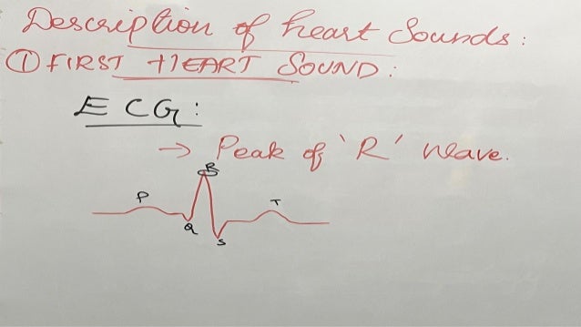Important points about Heart sounds and Heart murmur | PDF