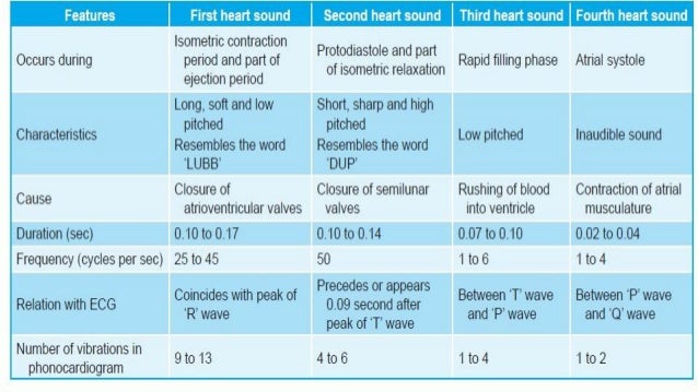 Important points about Heart sounds and Heart murmur | PDF