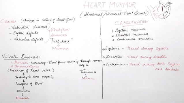 Important points about Heart sounds and Heart murmur | PDF