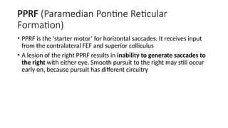 Physiology of Ocular Movements and Pathways | PPTX