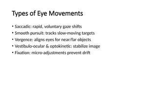 Physiology of Ocular Movements and Pathways | PPTX