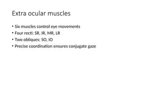 Physiology of Ocular Movements and Pathways | PPTX