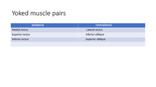 Physiology of Ocular Movements and Pathways | PPTX