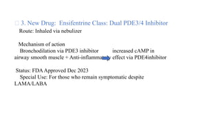 COPD presentation copd presentation COPD | PPTX