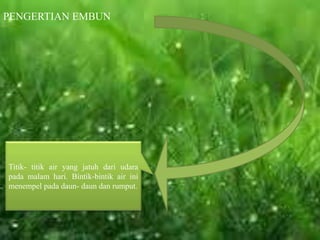 Presentation1 copy (2) | PPTX