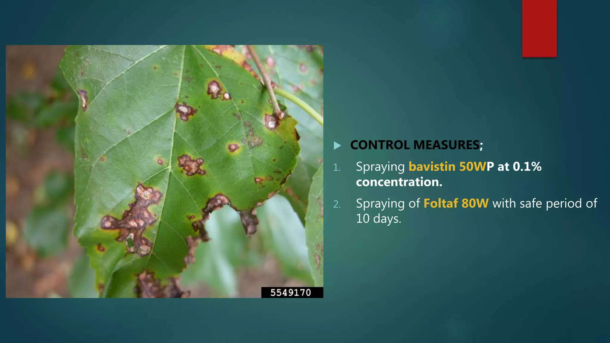 Presentation (1) diseases and pest of silkworm. | PPTX | Infectious ...