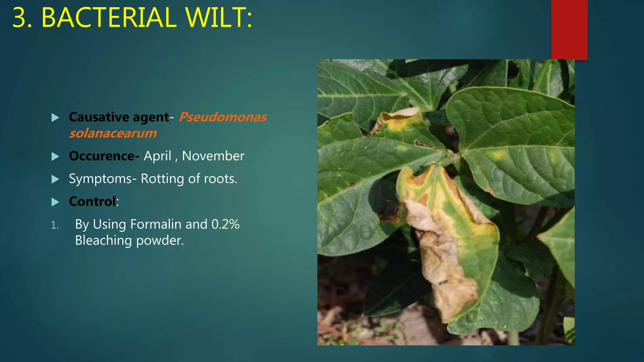 Presentation (1) diseases and pest of silkworm. | PPTX | Infectious ...