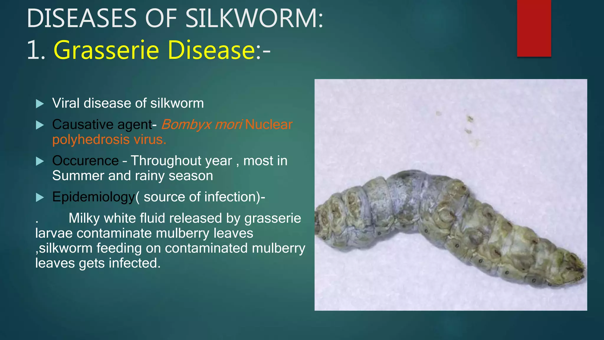 Presentation (1) diseases and pest of silkworm. | PPTX